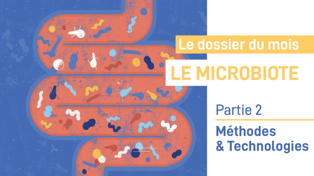 Les recherches sur le microbiote – Partie 2 : Méthodes & Technologies – IHU