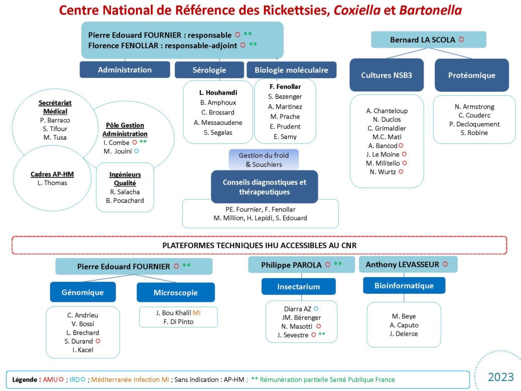 ORGAnigramme-CNR 2023 – IHU